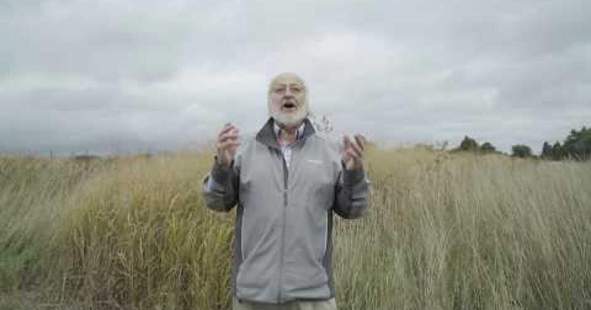 Roots of Conservation: Don Wyse